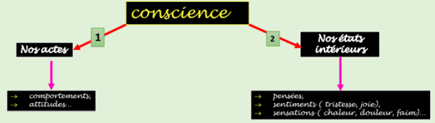 Conscience et Inconscient